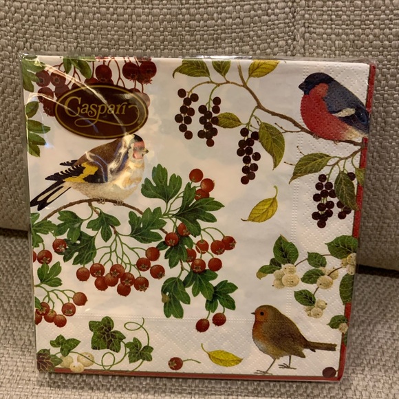 Caspari | Party Supplies | 2 Pkgs Caspari Winter Birds Dinner Napkins ...